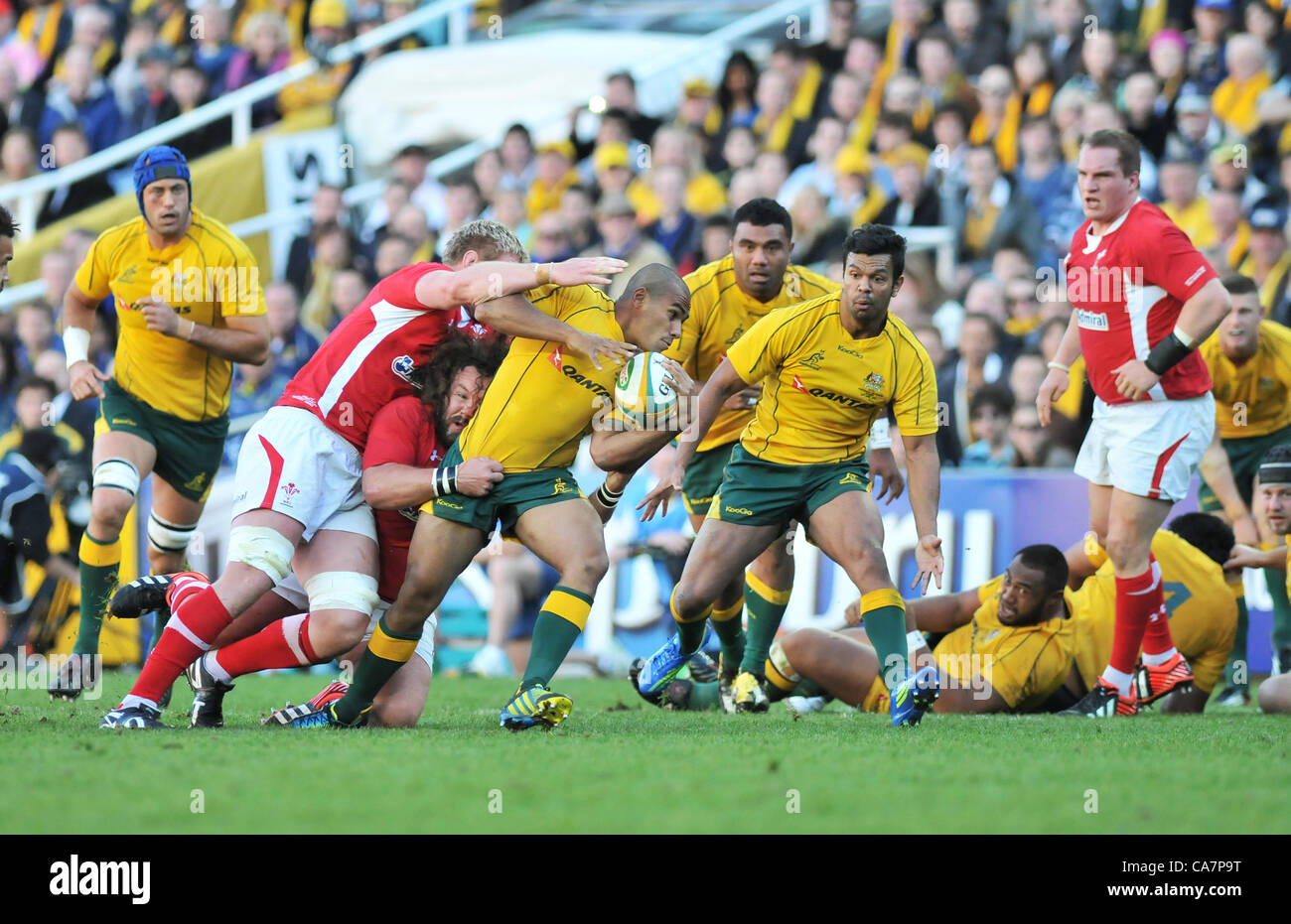 Australia wallabies rugby wales hi-res stock photography and images - Alamy