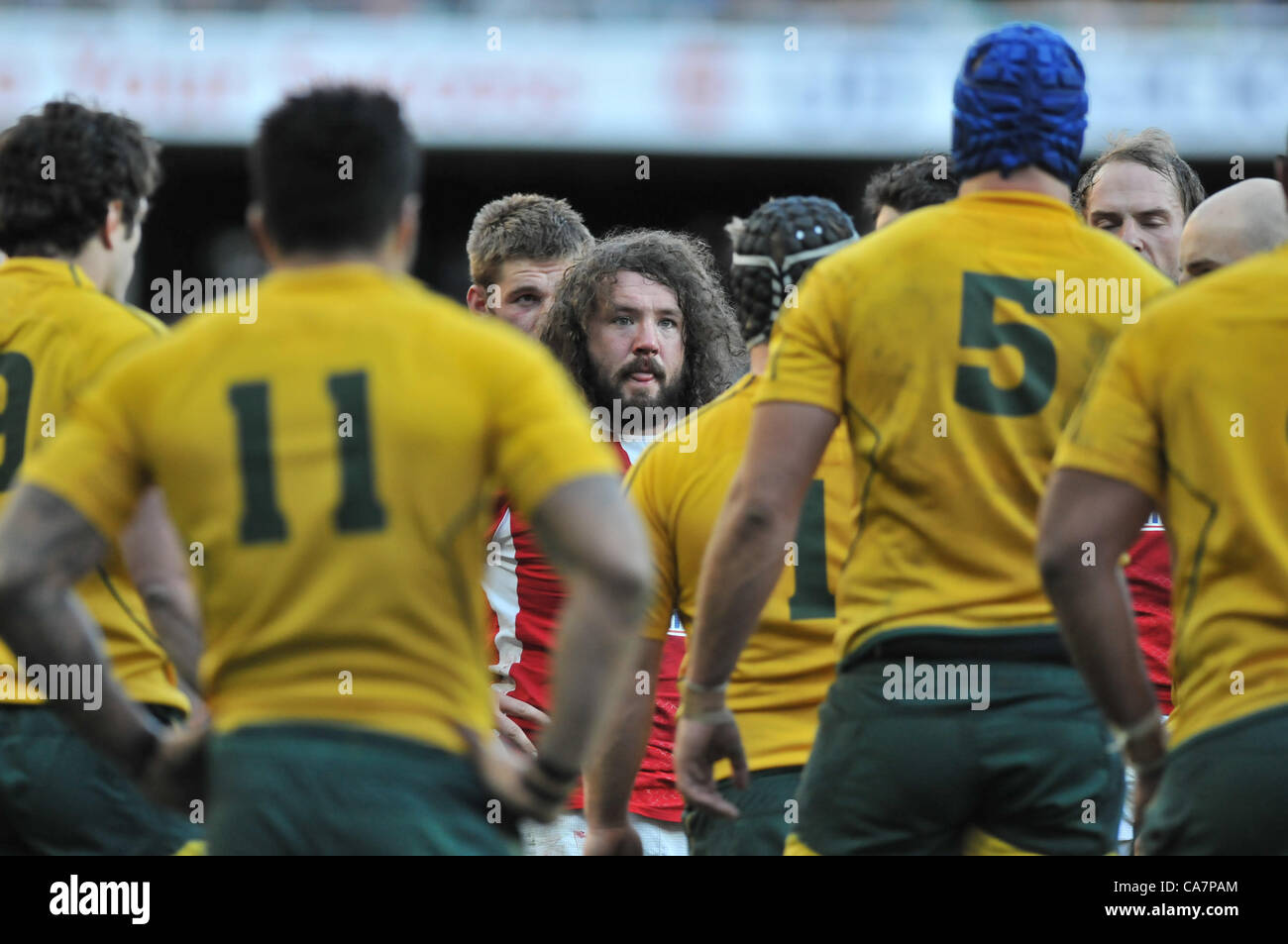 Australian rugby team 2012 hi-res stock photography and images - Alamy
