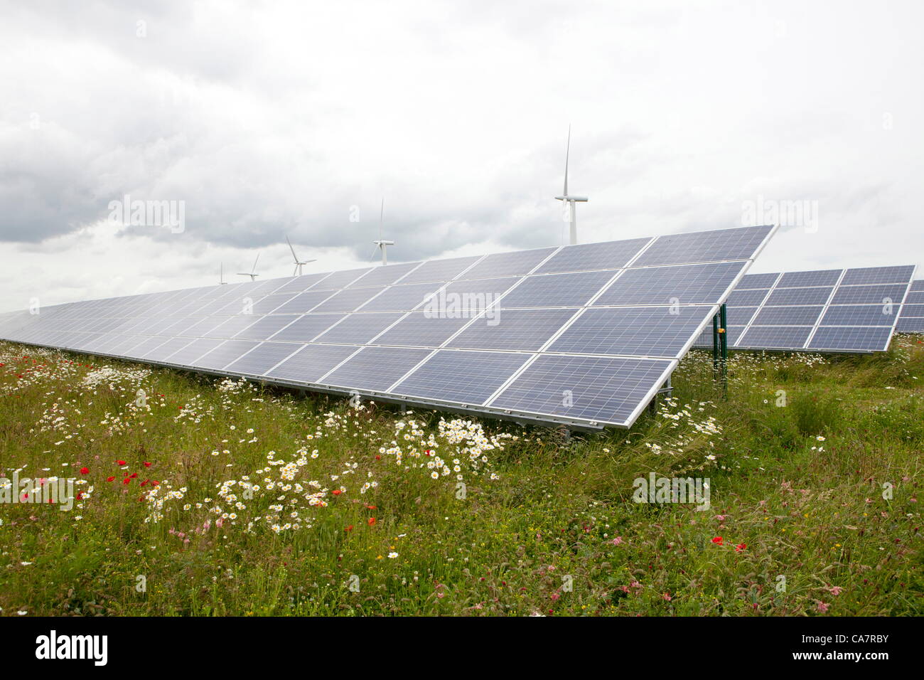 Wind energy on farm hi-res stock photography and images - Alamy