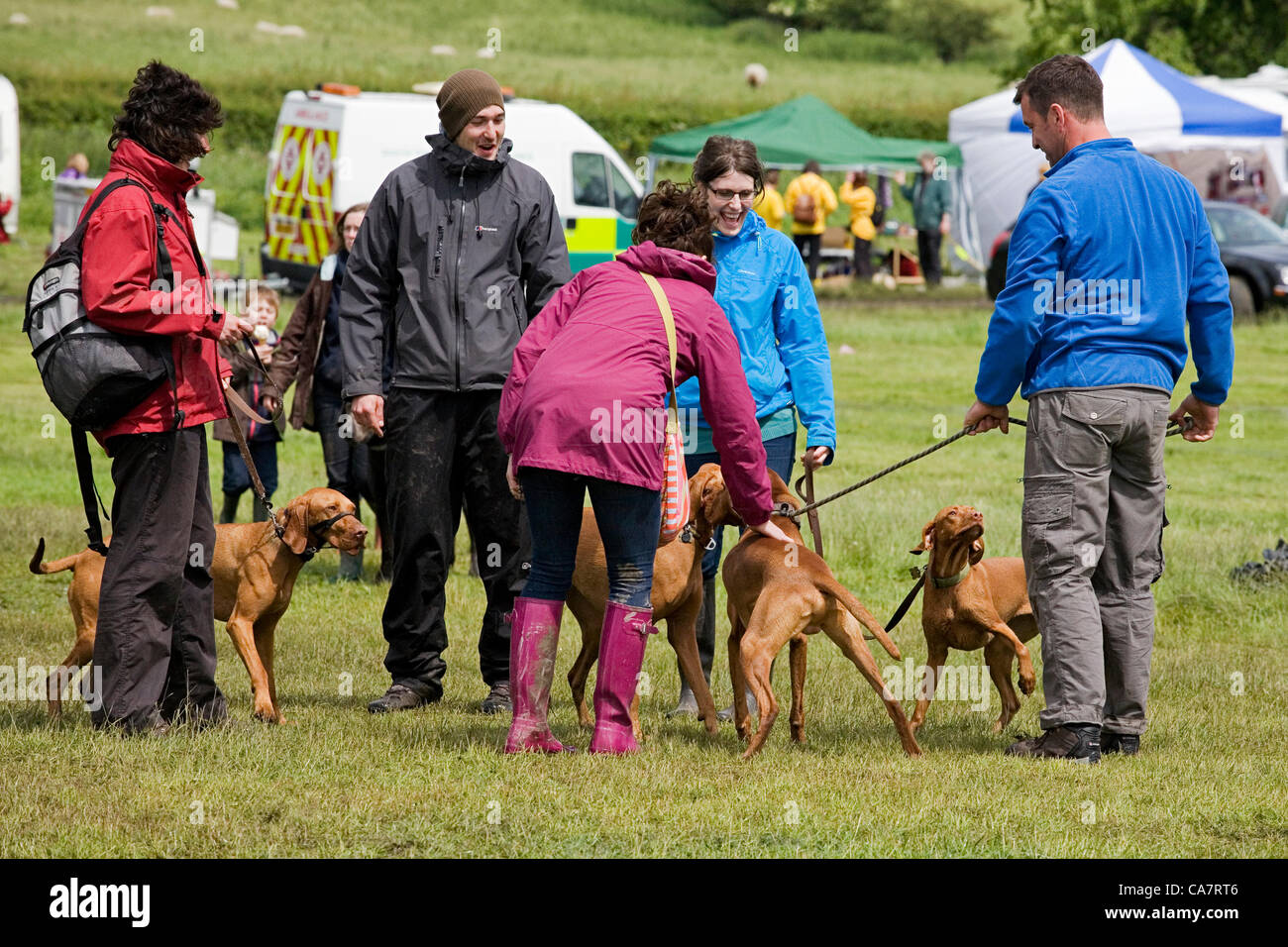 June 23rd 2012 Bakewell, Derbyshire, UK. Fun family dog show, Dogs ...