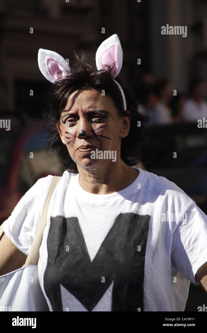 Animal testing protest vivisection hi-res stock photography and images ...