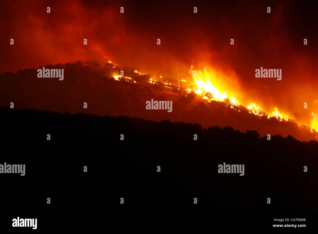 Forest fire rages with intense flames and smoke during night in central ...