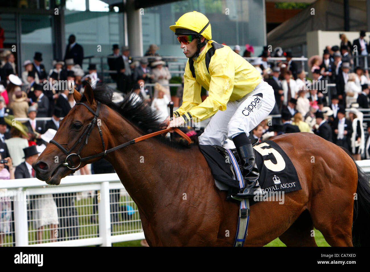 Neil callan hi-res stock photography and images - Alamy