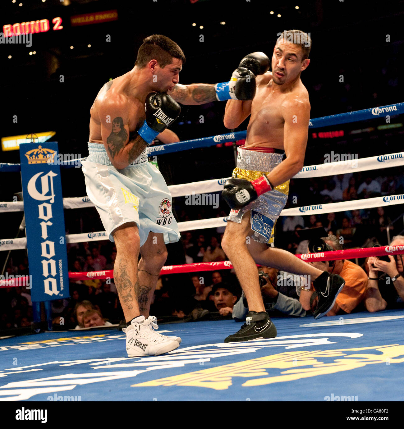 Matthysse Tattoos Lucas Matthysse Vs Viktor Postol | KO, Full
