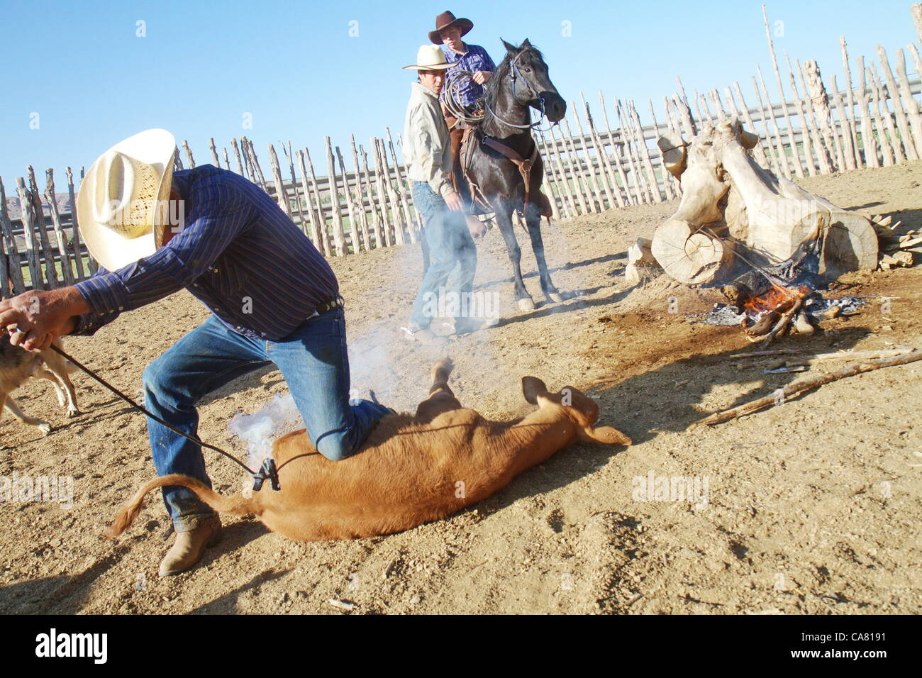 May 16, 2012 - Riverside, NV, U.S - Cliven Bundy, LeRoy Toombs, and ...