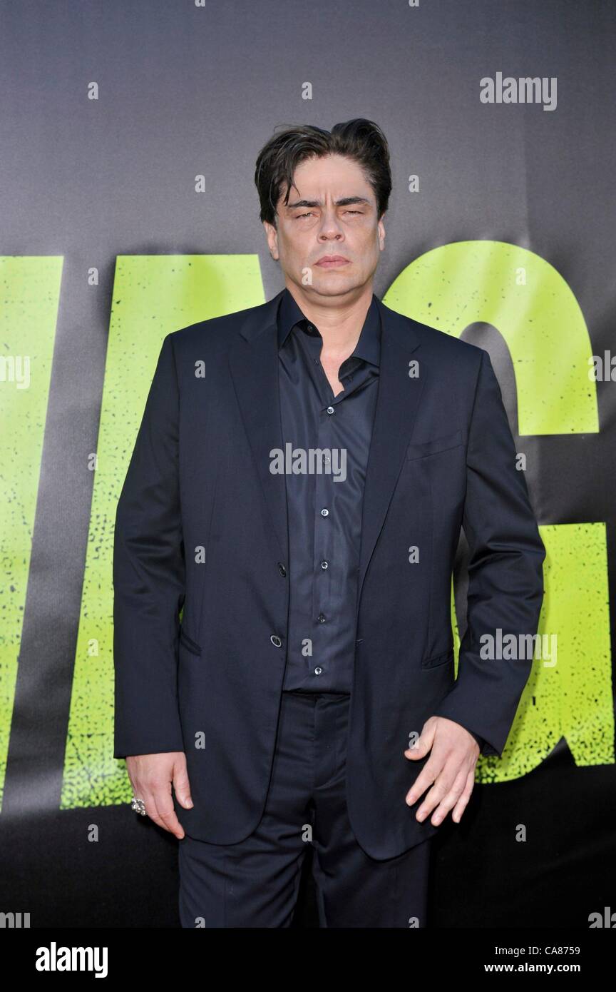 Benicio Del Toro at arrivals for SAVAGES Premiere, Regency Village ...