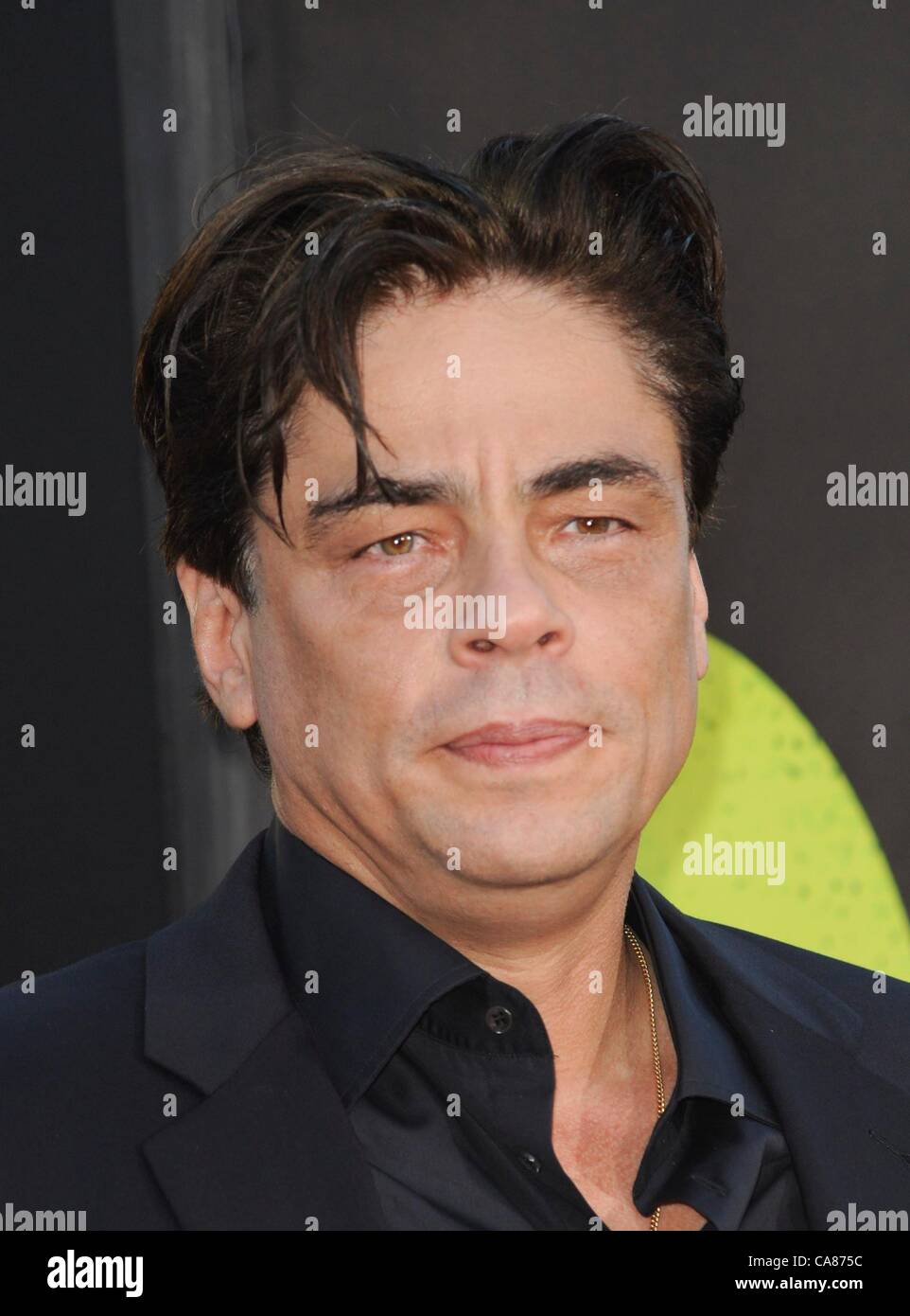 Benicio Del Toro at arrivals for SAVAGES Premiere, Regency Village ...