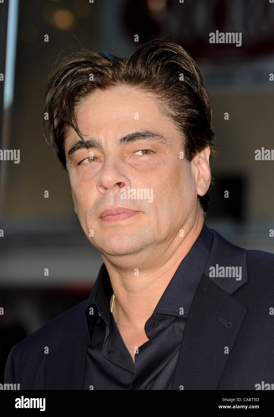 Benicio Del Toro at arrivals for SAVAGES Premiere, Regency Village ...