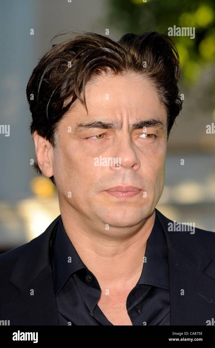 Benicio Del Toro at arrivals for SAVAGES Premiere, Regency Village ...