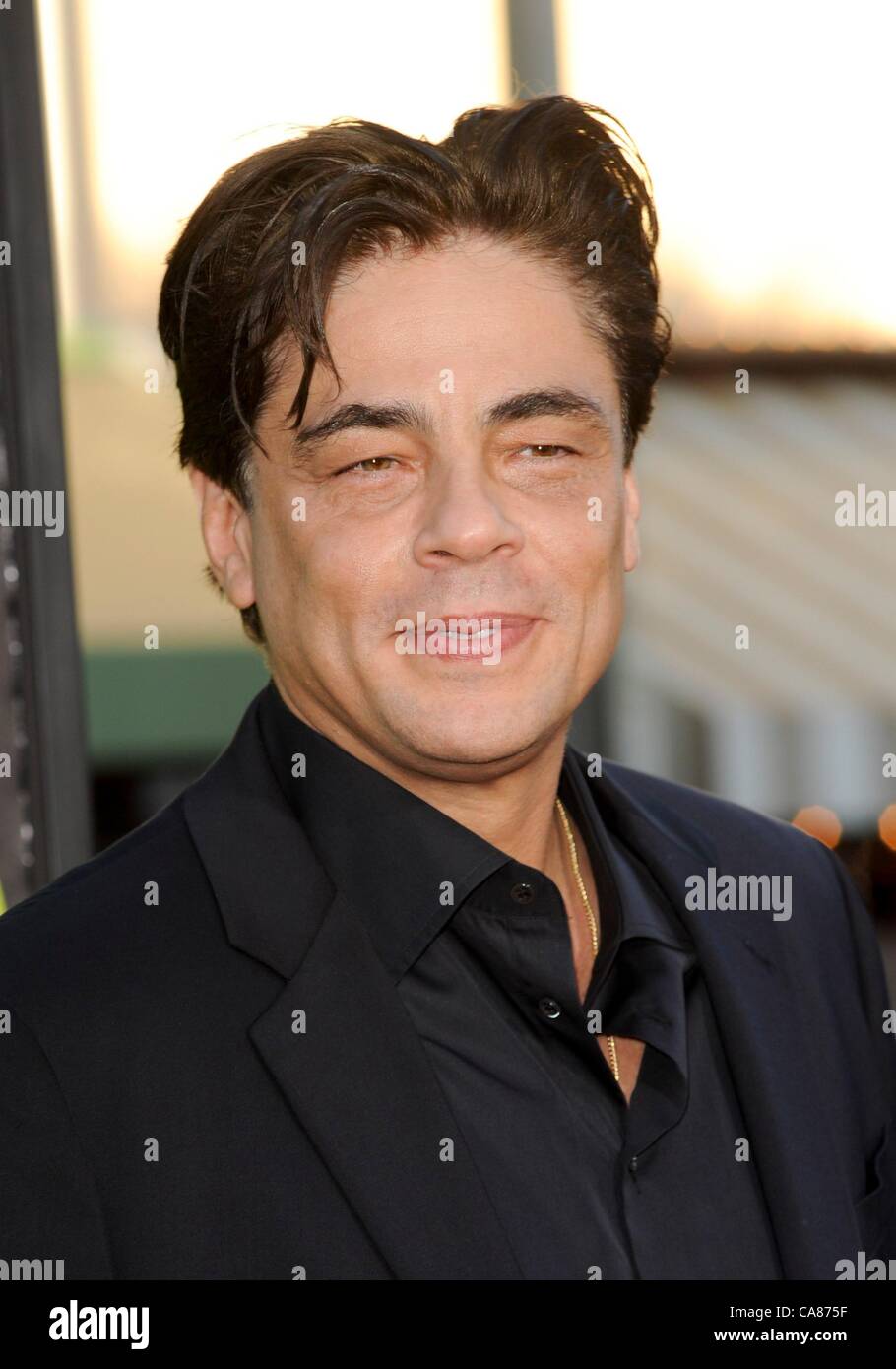 Benicio Del Toro at arrivals for SAVAGES Premiere, Regency Village ...