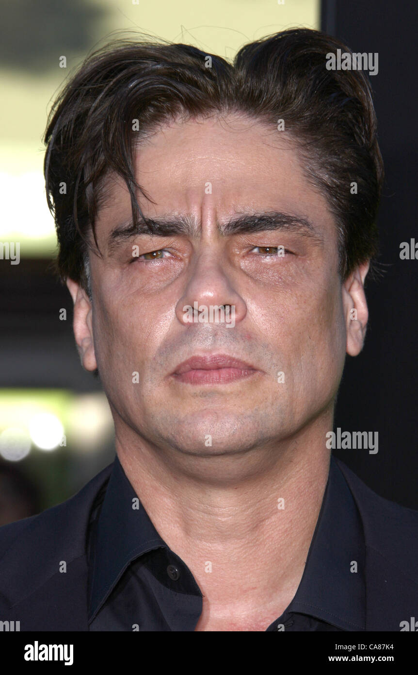 BENICIO DEL TORO SAVAGES. WORLD PREMIERE LOS ANGELES CALIFORNIA USA 25 ...