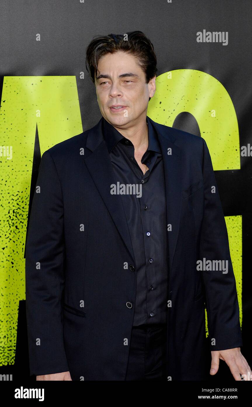 Benecio Del Toro at arrivals for SAVAGES Premiere, Regency Village ...