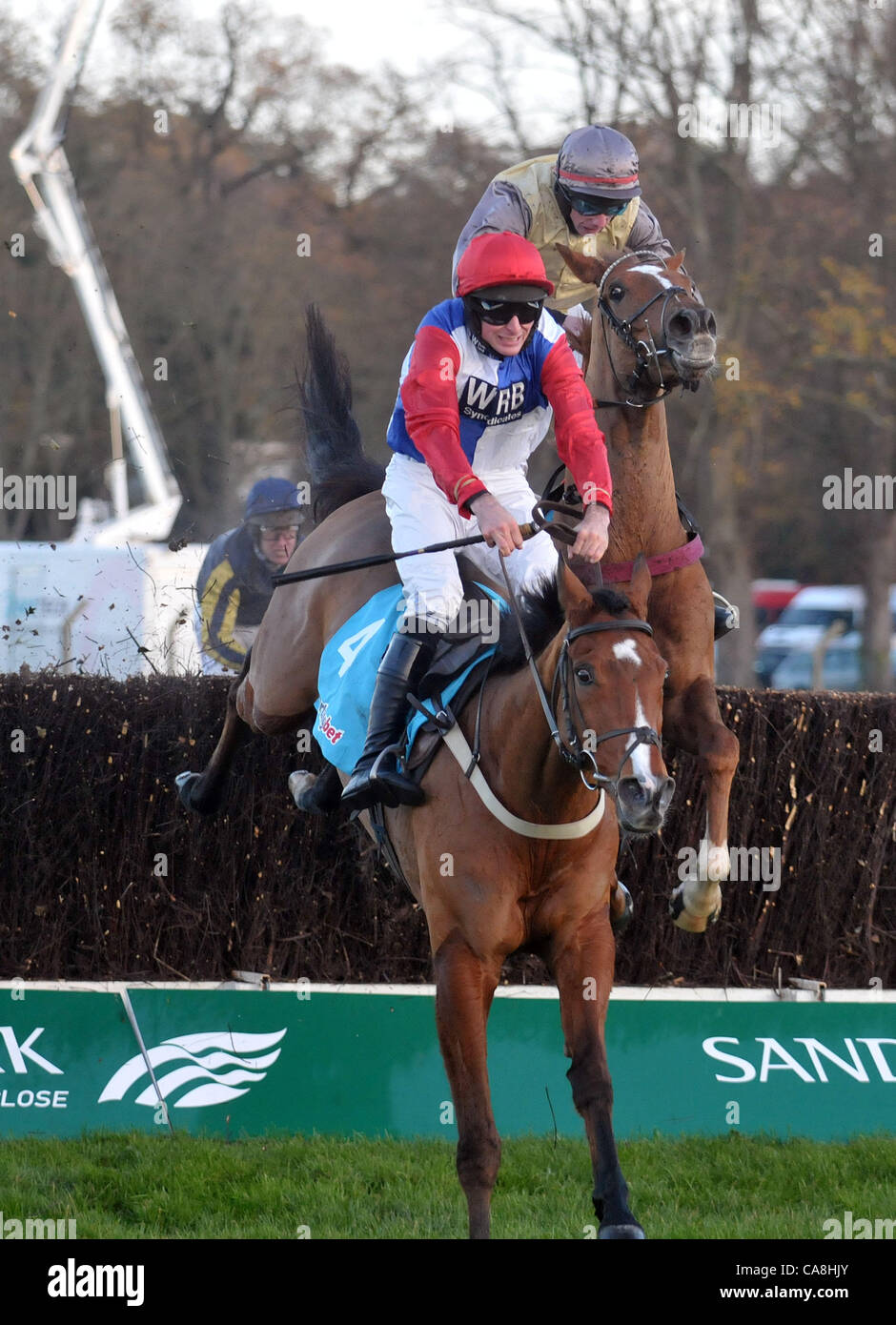 Golan Way ridden by Marc Goldstein takes the last in front of Benbane ...