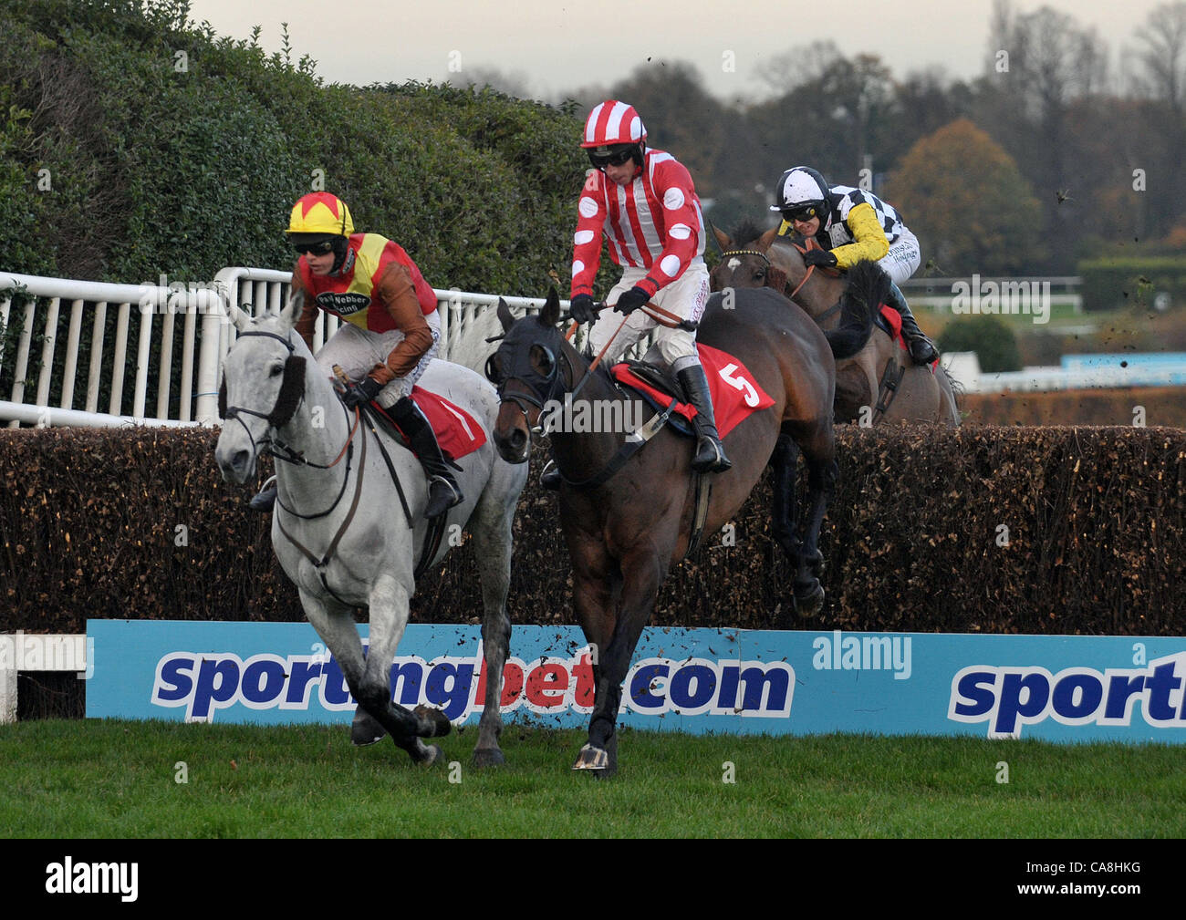 Open ditch racecourse hi-res stock photography and images - Alamy