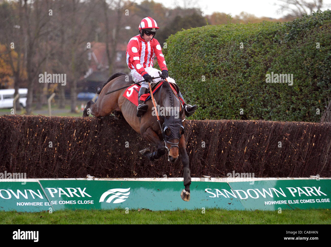 Aspell hi-res stock photography and images - Alamy