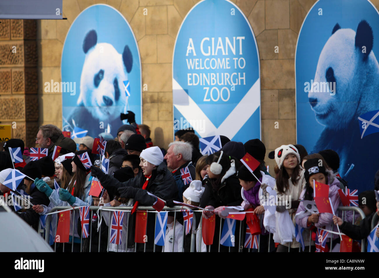 Tian tian panda edinburgh zoo hi-res stock photography and images - Alamy