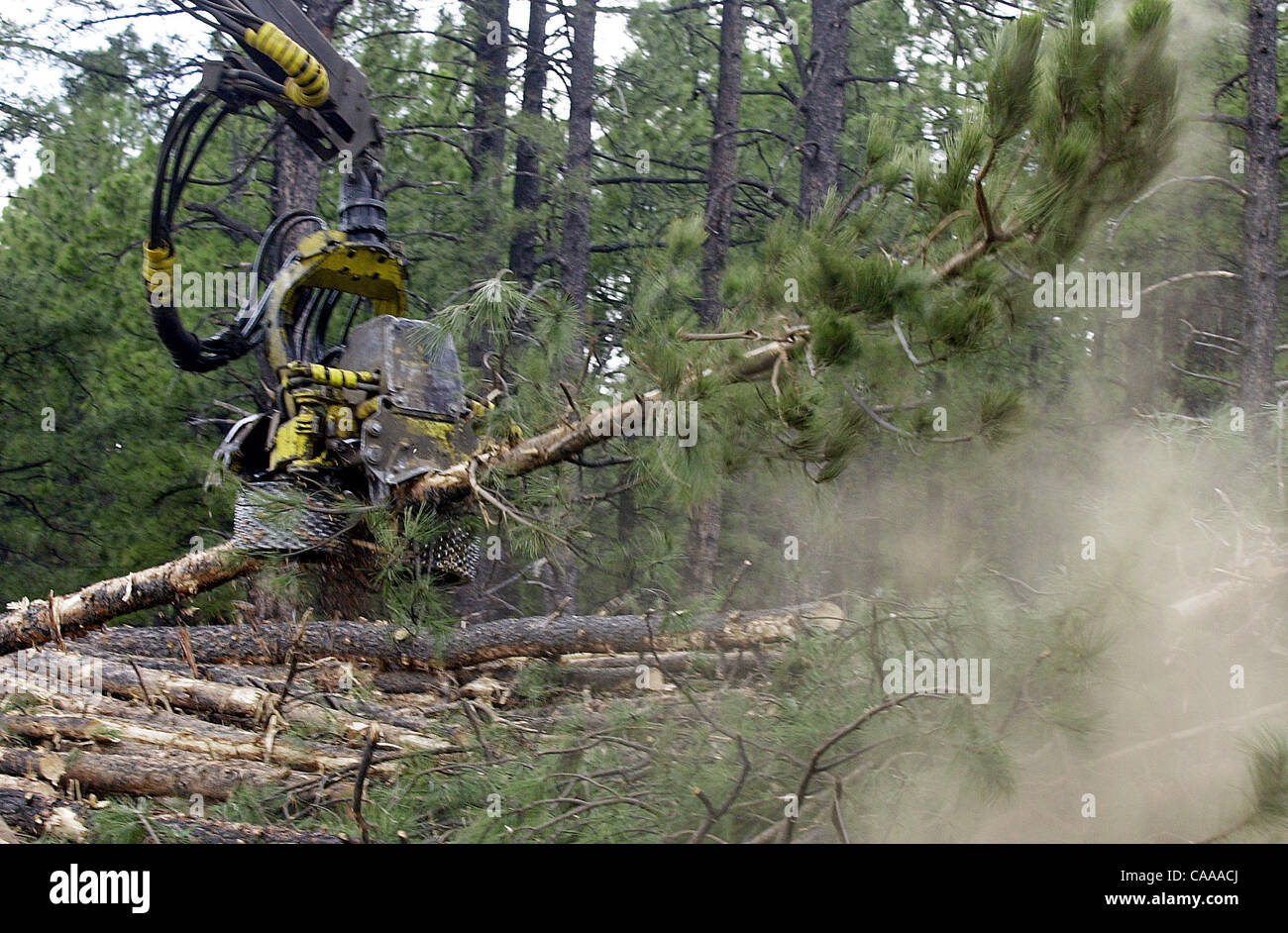 (published 06/23/2003, A-6) A logging machine removes the limbs from ...