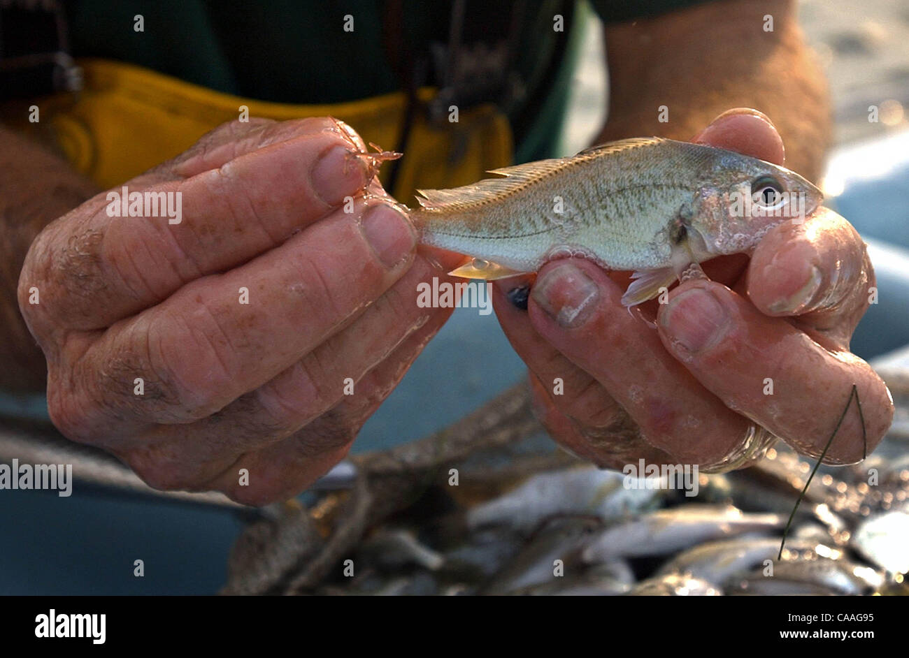 Ernie butler hi-res stock photography and images - Alamy