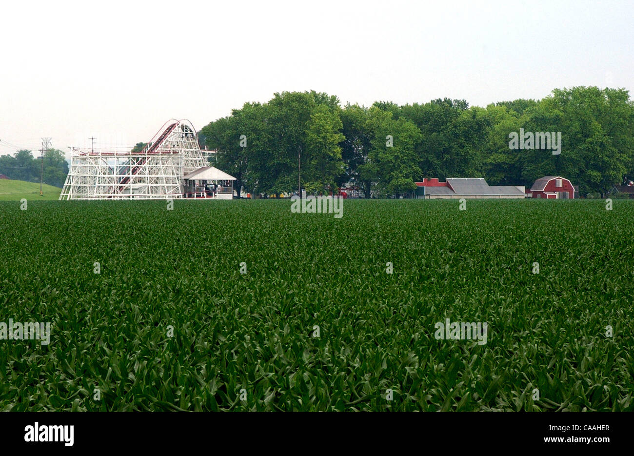 The only roller coaster in the United States to be hand built by its ...