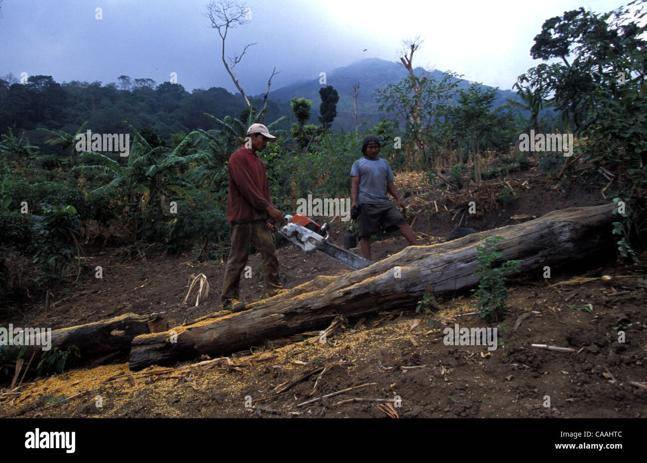 MOJOKERTO, INDONESIA - JULY 07, 2003 PPLH Seloliman which inaugurated ...
