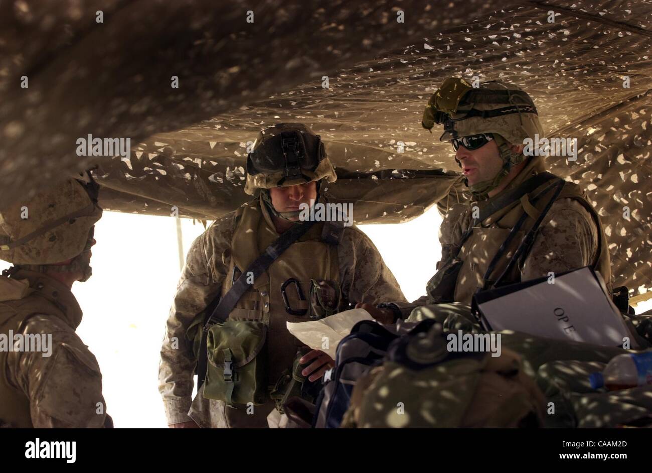 Lion Of Fallujah Book