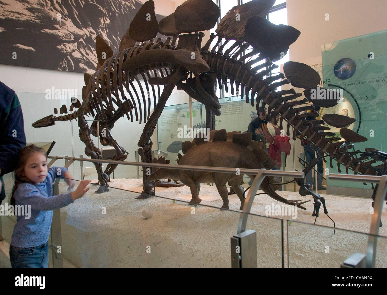 Nov 20, 2003; New York, NY, USA; New York City famous American Museum ...