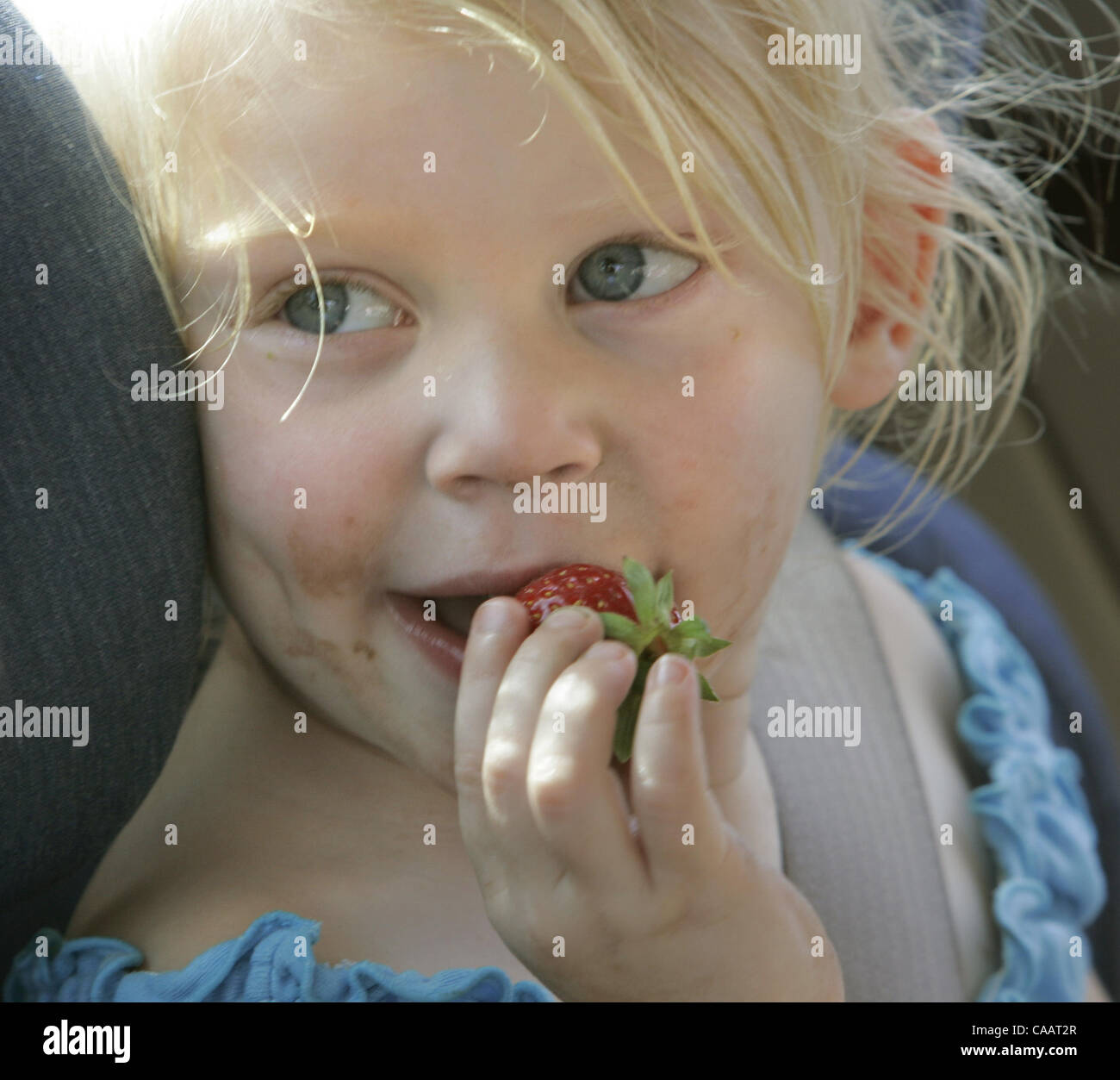 2 year old LAUREN GILMAN enjoys a strawberry her grandmother Maureen ...