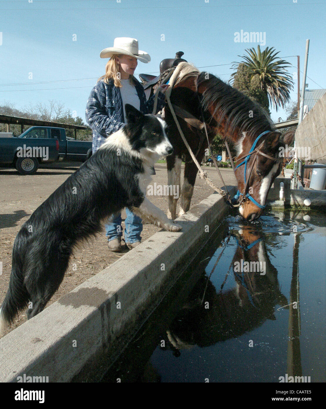 Wrangler Sarah Burnside waters a horse at Western Trail Ride Adventures ...