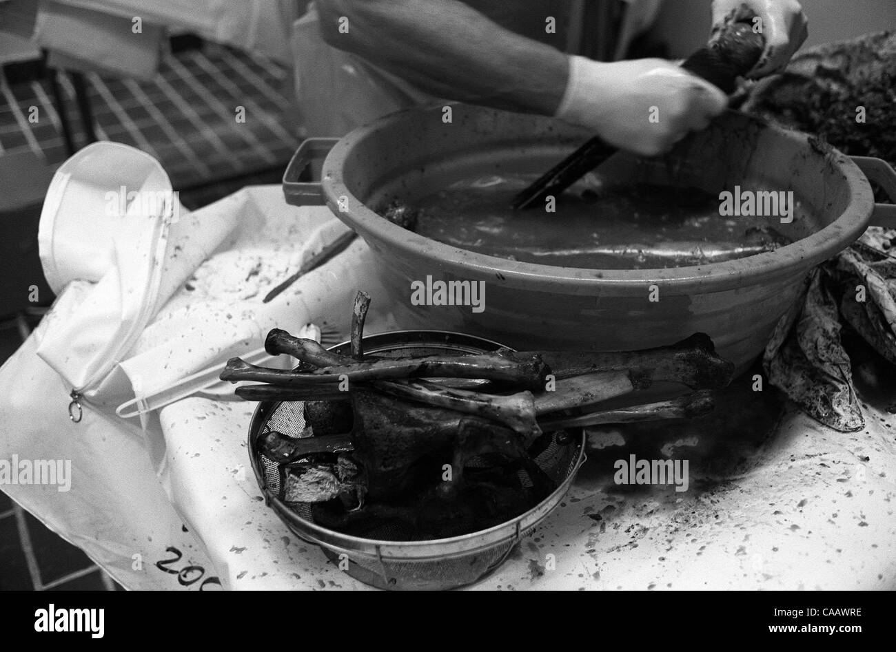 Morgue clean hi-res stock photography and images - Alamy