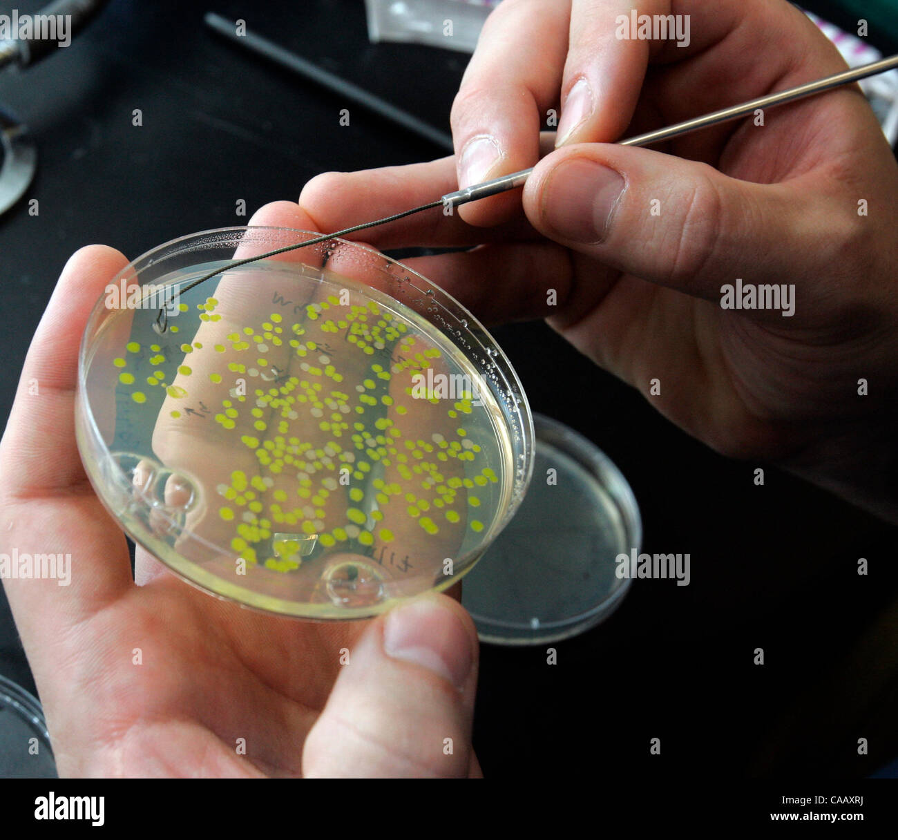 Published nov 1 hi-res stock photography and images - Alamy