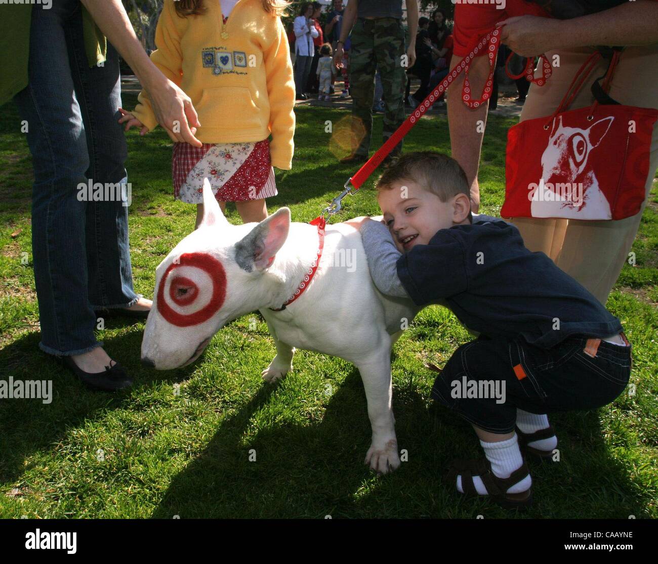 Bullseye dog hi-res stock photography and images - Alamy
