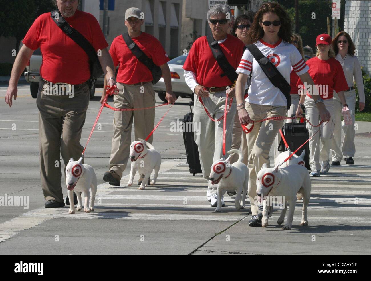 Mar 06, 2004; West Hollywood, CA, USA; Celebrity dog 'Bullseye' and ...