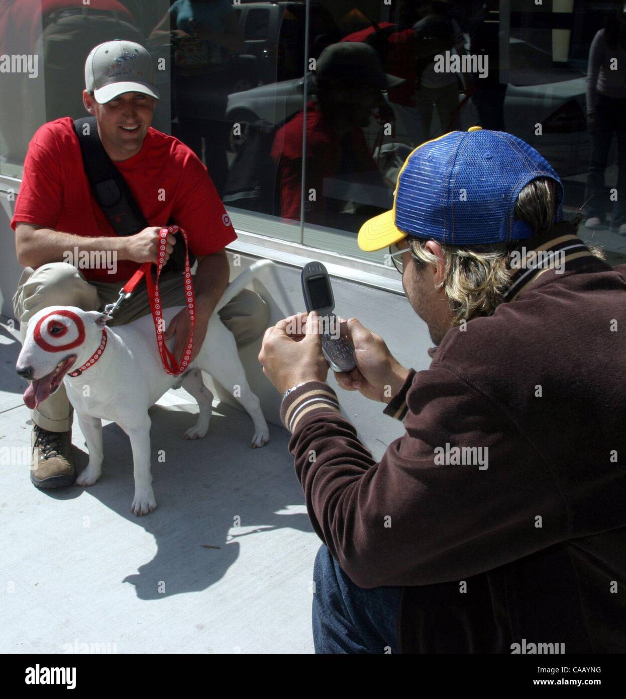 Bullseye (target dog) hi-res stock photography and images - Alamy