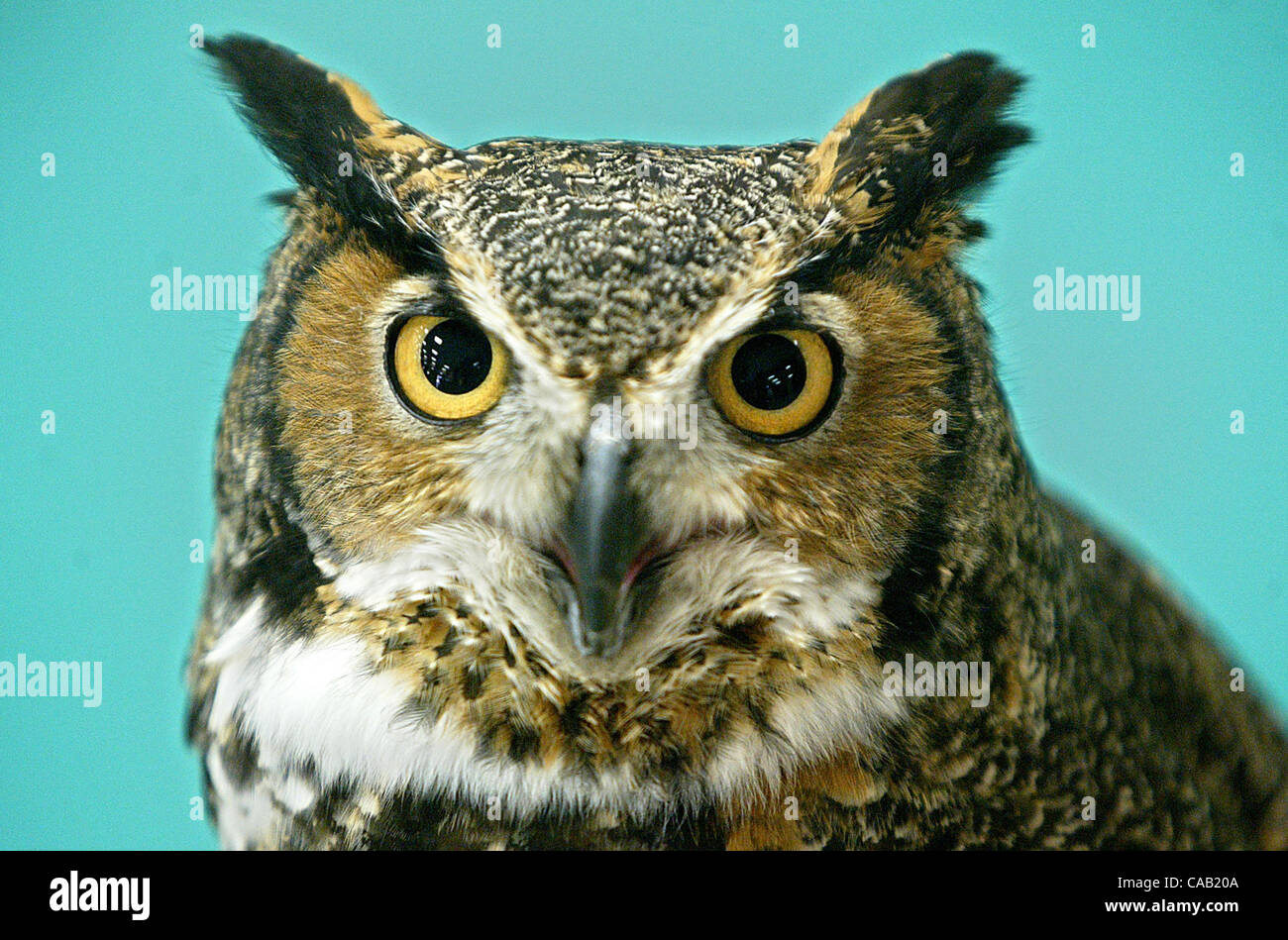 Lady doris hi-res stock photography and images - Alamy