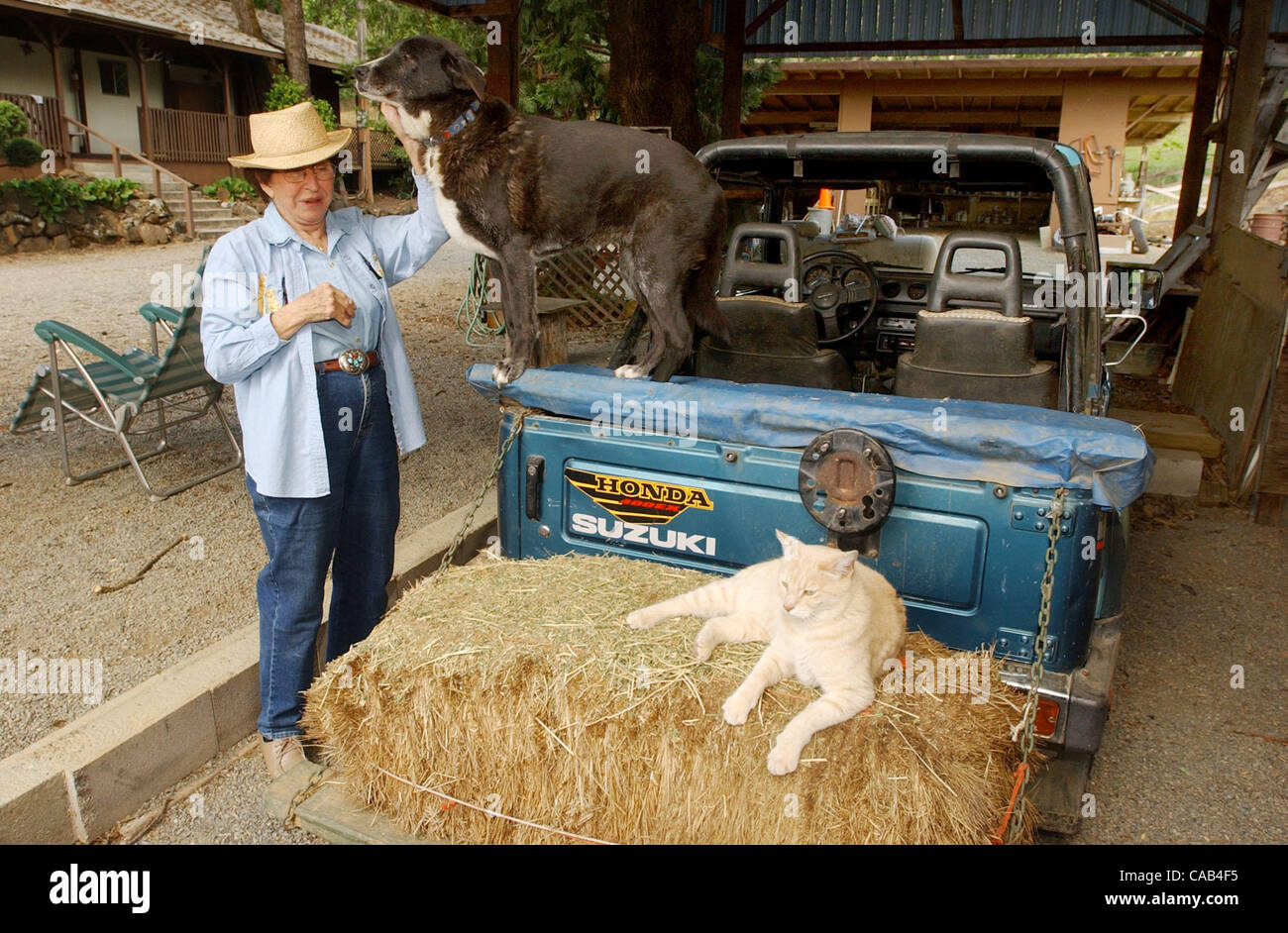 Tippy morgan hi-res stock photography and images - Alamy