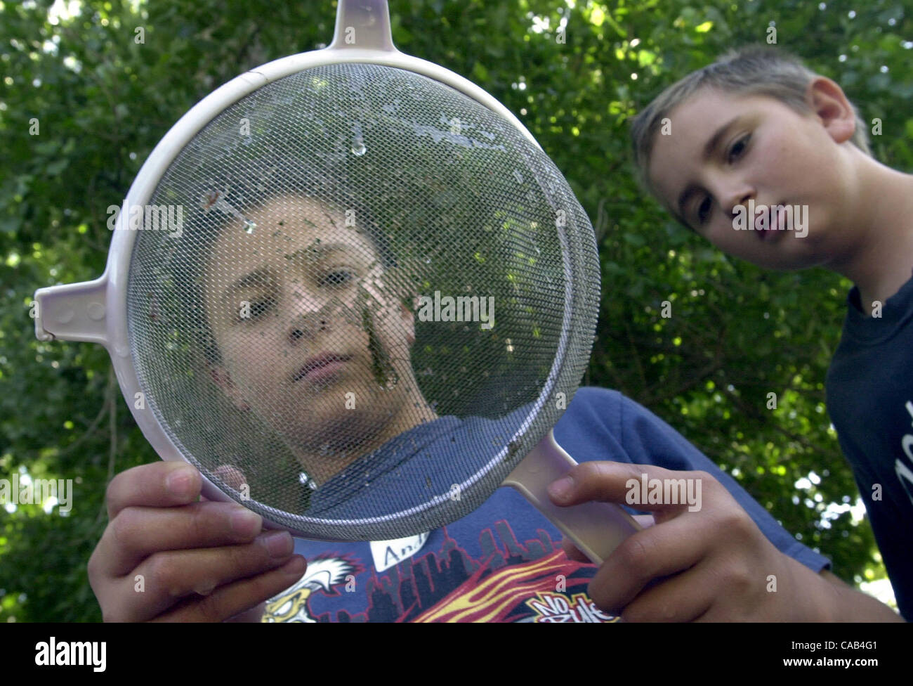 1338--Andrew Gutierrez looks at a damselfly in his strainer which he ...