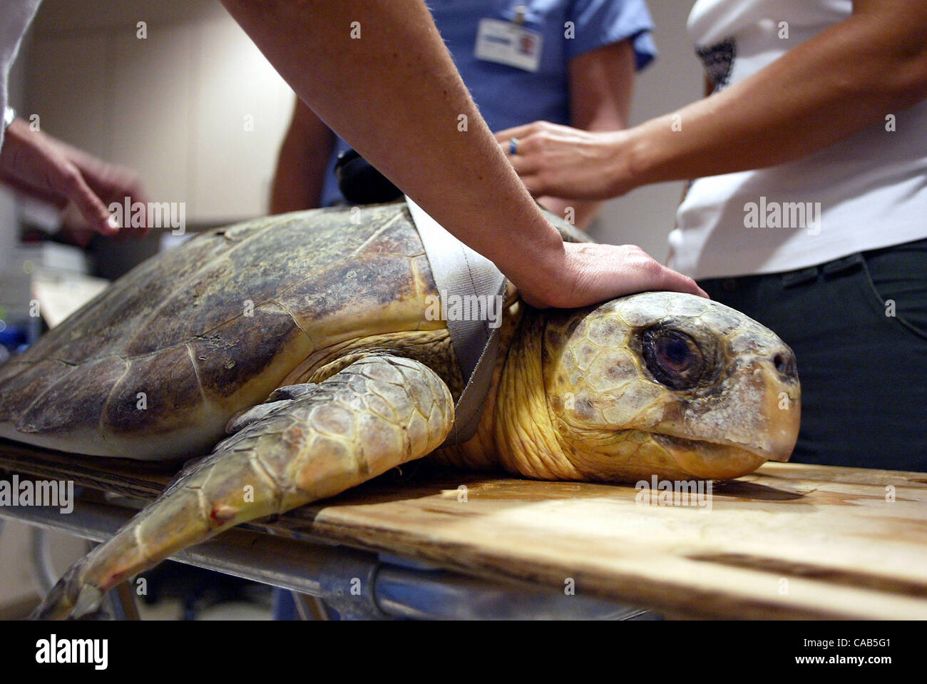 LIVE METRO, 4/28/04. STUART......A veterinarian, and several nuclear ...