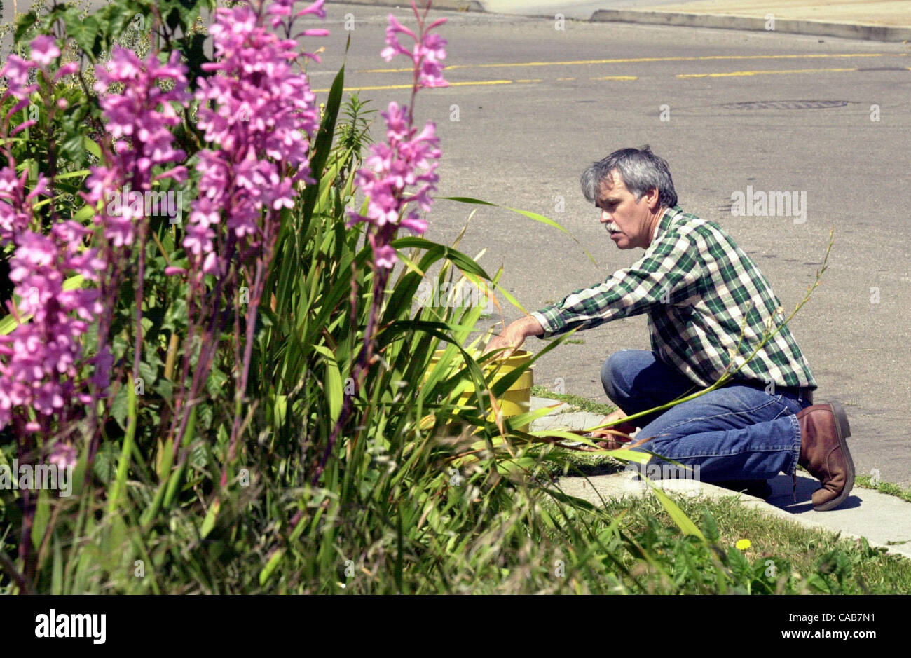 Don Mahoney works in the front yard of his home in Richmond, Calif., on ...
