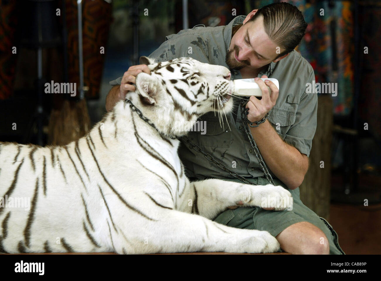 Parrot jungle island miami hi-res stock photography and images - Alamy