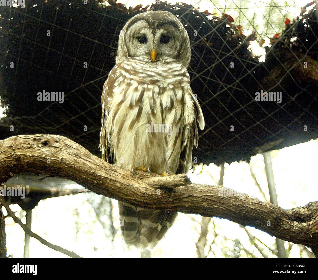 Florida keys wild bird rehabilitation center hi-res stock photography ...