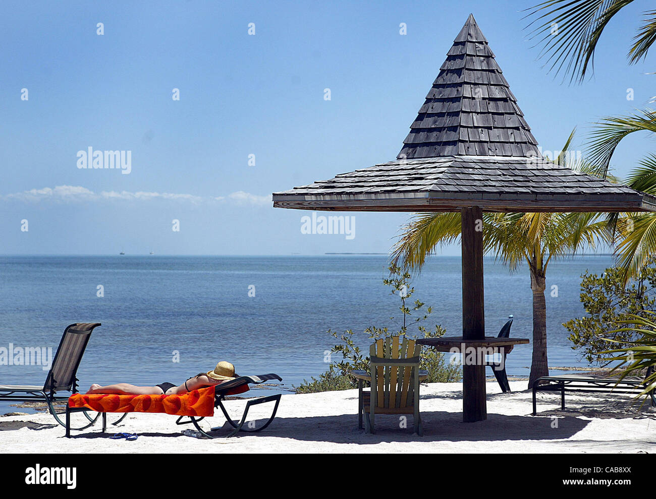 Lime Tree Bay Resort High Resolution Stock Photography and Images - Alamy