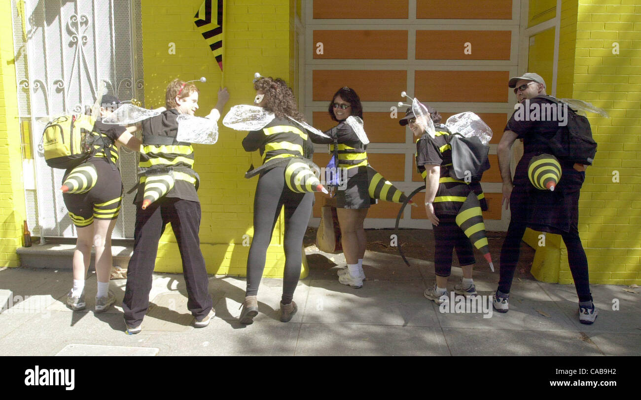 A group dressed as bee's stretch along Fell street before their run ...