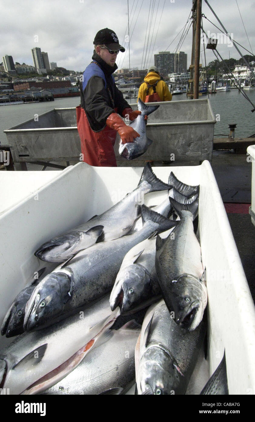 Morgan employee hi-res stock photography and images - Alamy