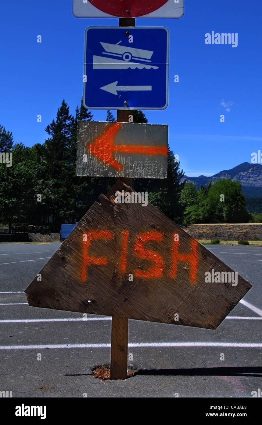 Chinook salmon oregon hi-res stock photography and images - Alamy