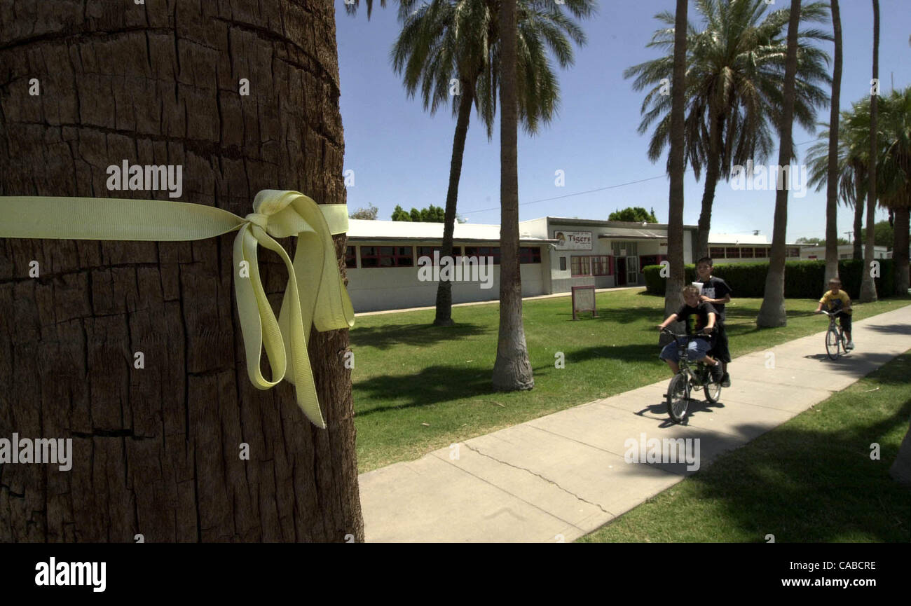 Faded yellow ribbons still wrap around the palm trees outside the ...
