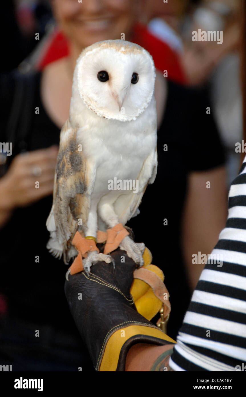 Sept. 19, 2010 - Los Angeles, California, U.S. - OWL Attending The ...