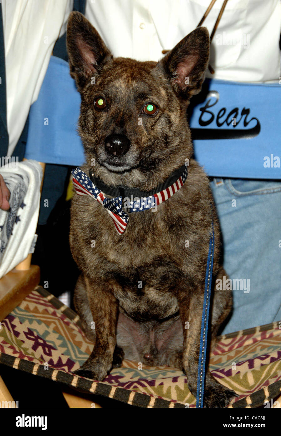 June 22, 2010 - Los Angeles, California, U.S. - Bryan Michael Stoller ...