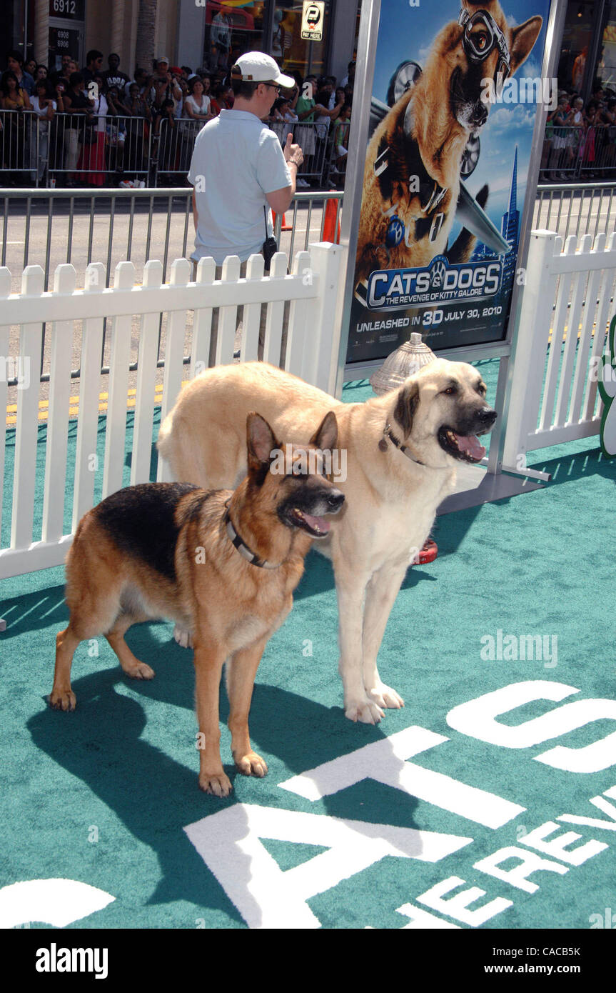 July 25, 2010 - Los Angeles, California, U.S. - Attending The World ...