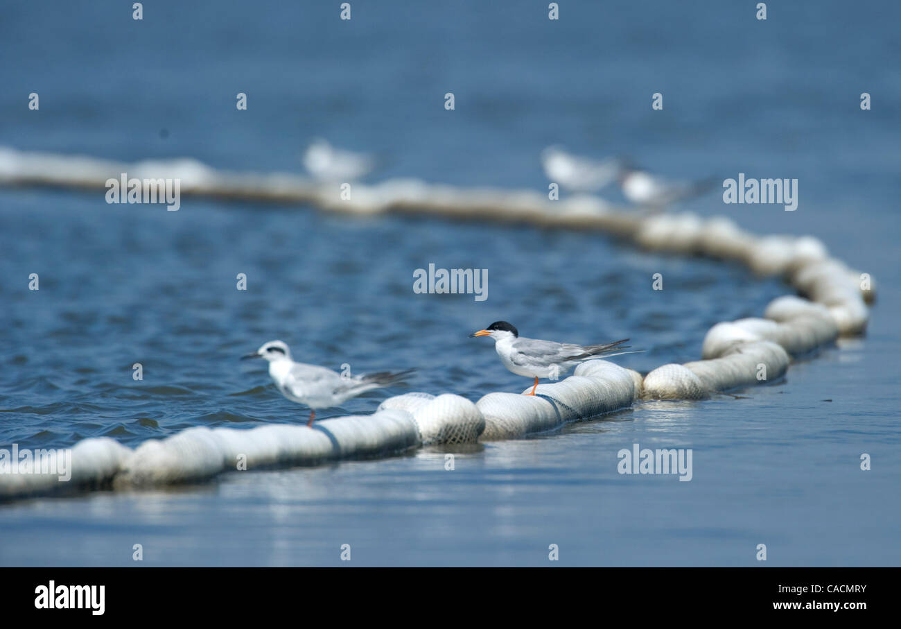 Cocodrie, louisiana hi-res stock photography and images - Alamy