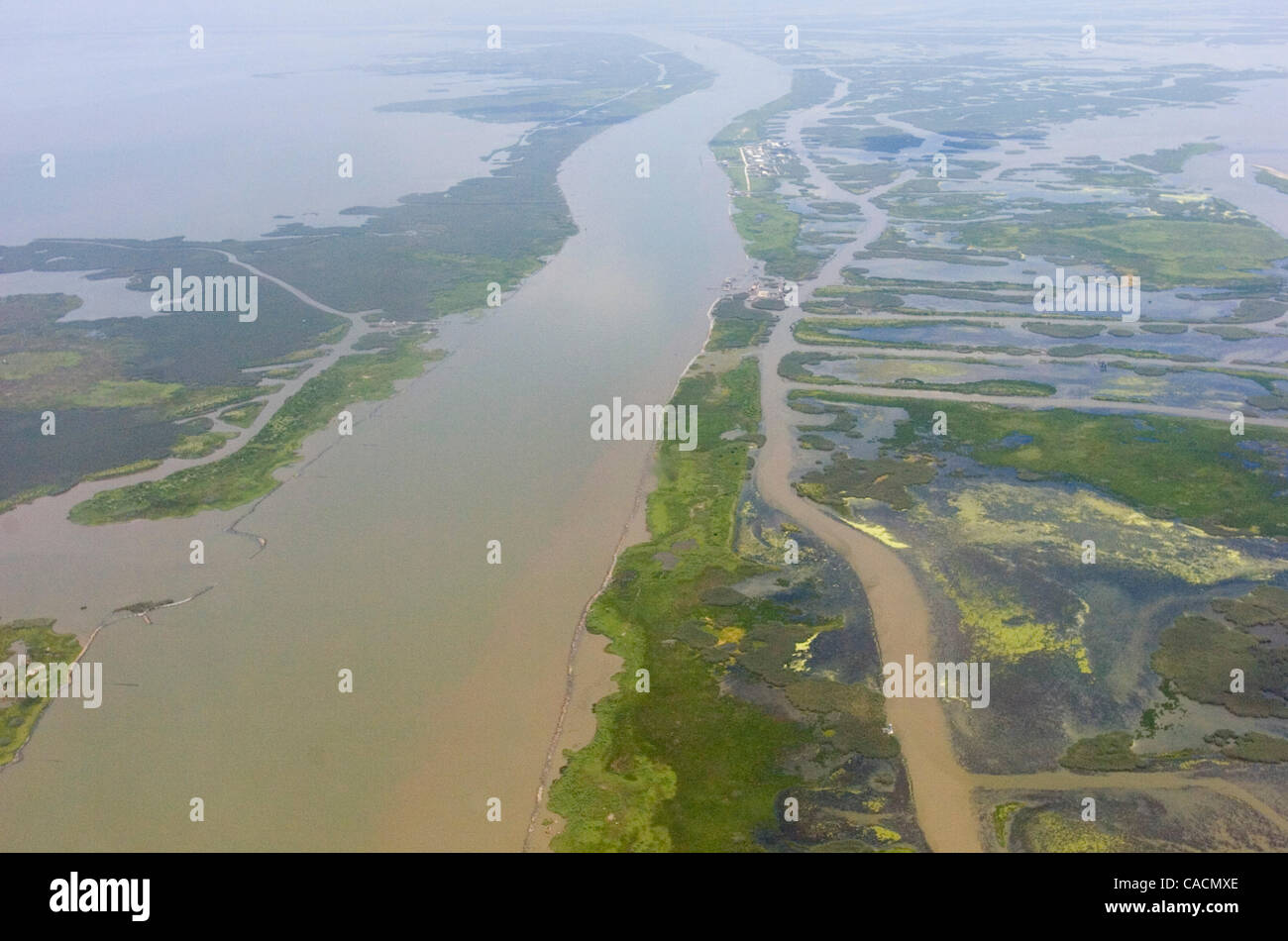Mississippi River Delta Wildlife High Resolution Stock Photography and ...